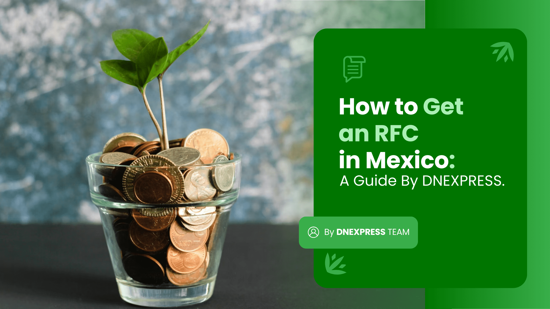 How to Get an RFC in Mexico Without Visiting SAT Easily – DNExpress
