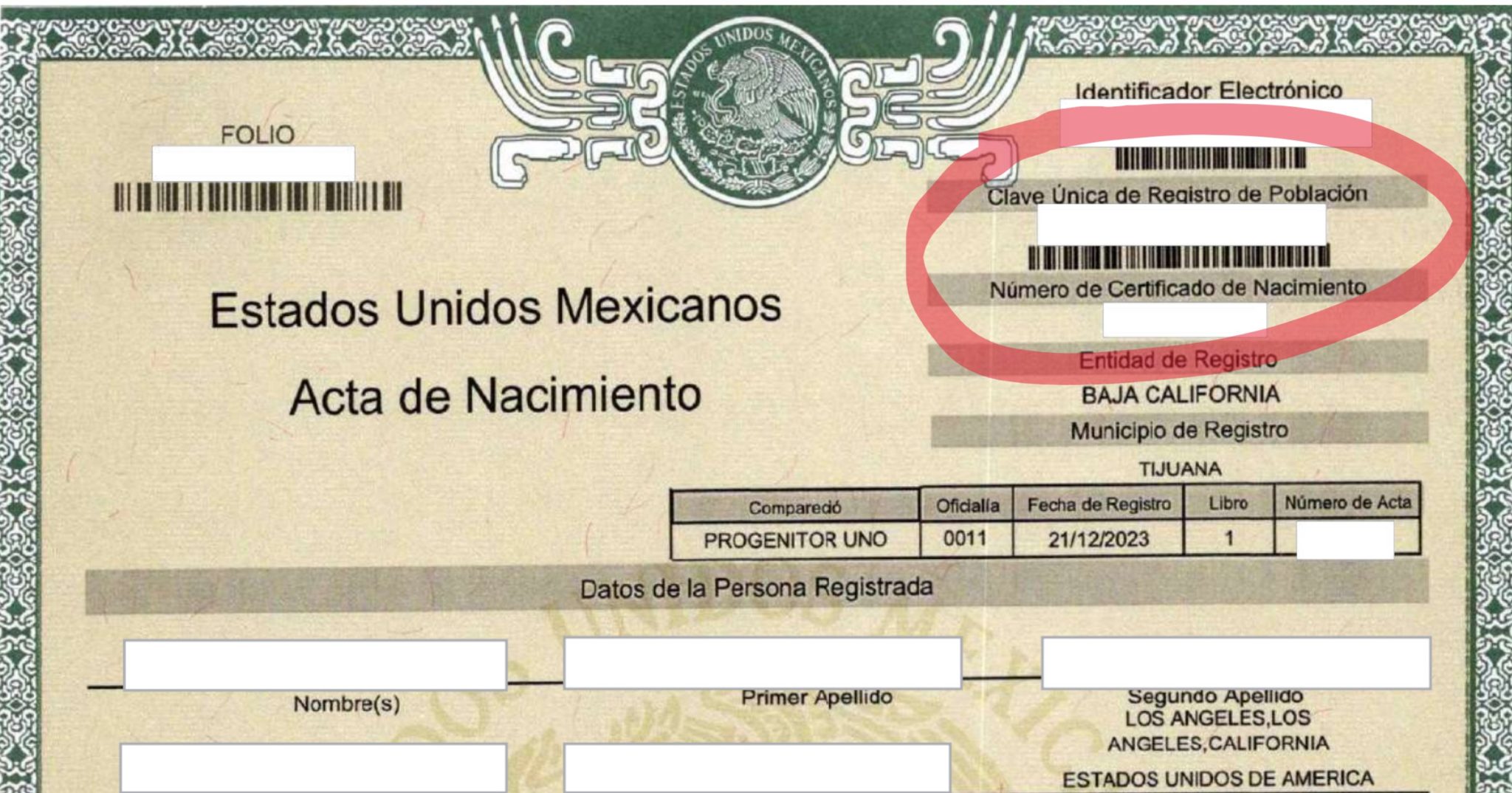 WHAT IS A CURP IN MEXICO? - Doble Nacionalidad Express